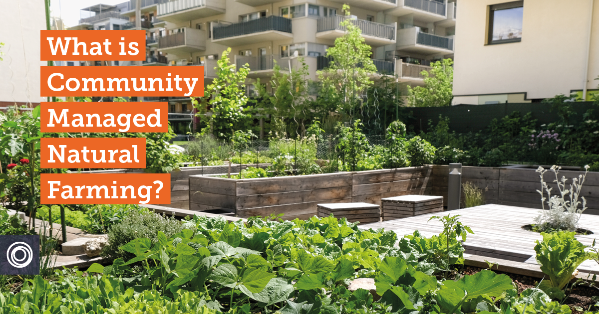 Greater resilience for smallholder farmers | Ellen MacArthur Foundation