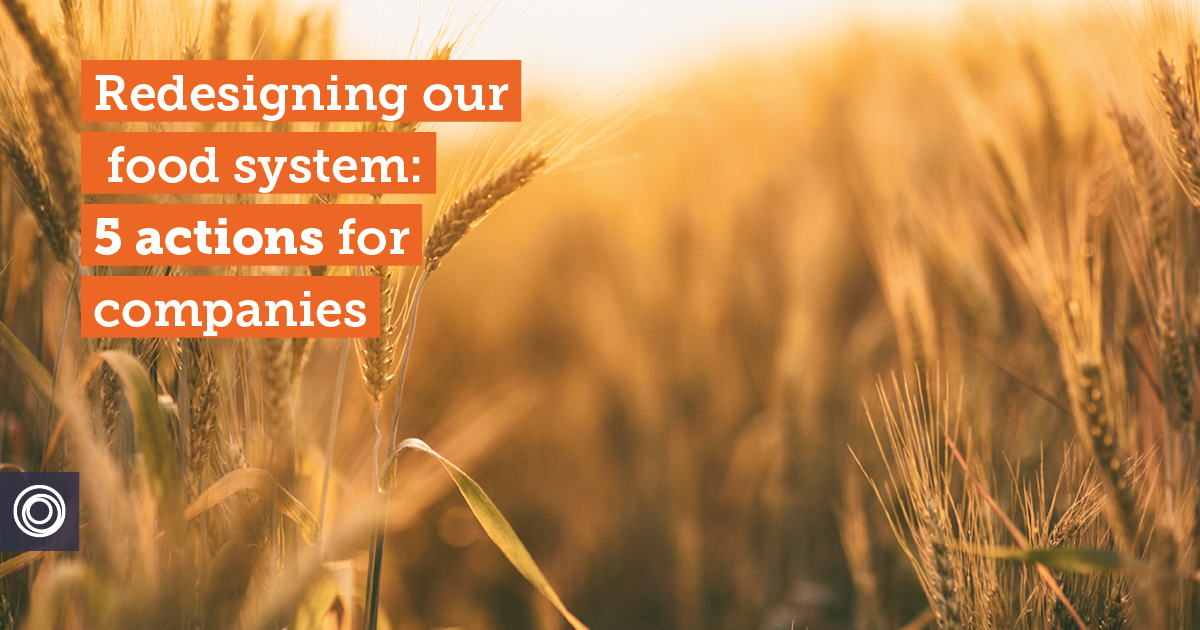 Five actions for companies to make nature-positive food mainstream