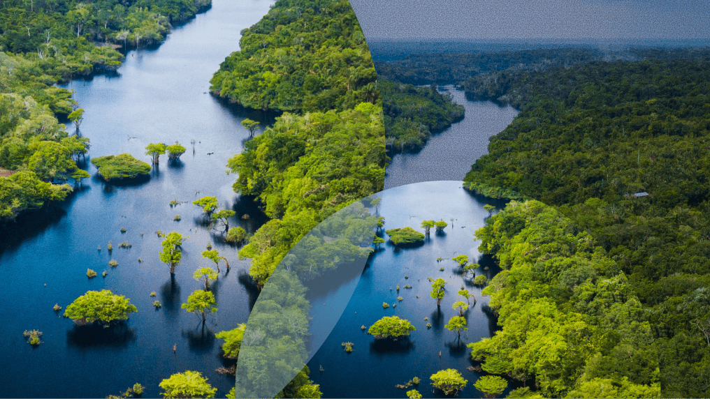 Latin America: protecting biodiversity and charting a circular future ...
