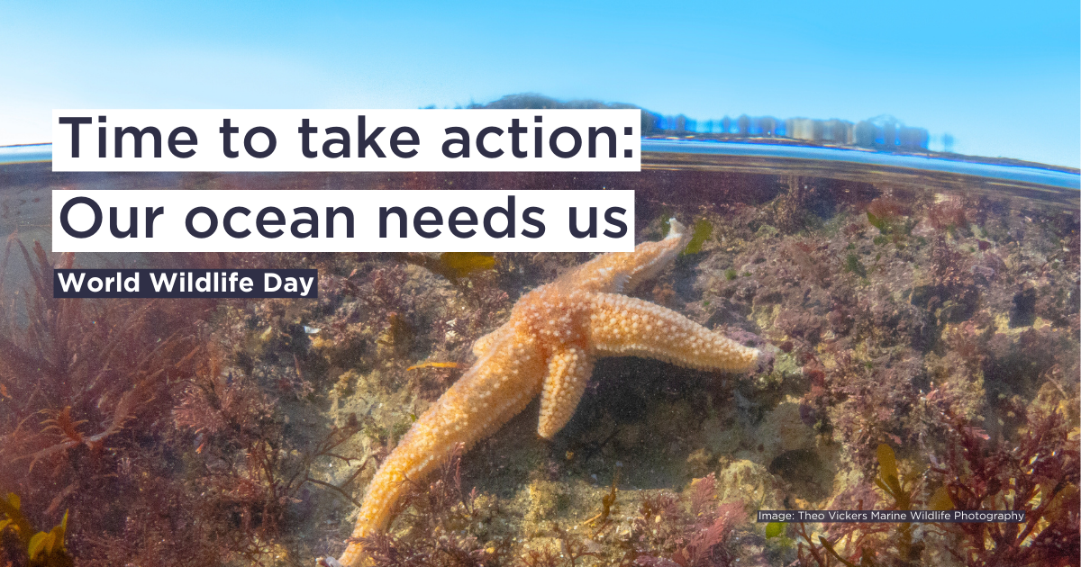 The circular economy at sea: regenerating the world’s life support ...