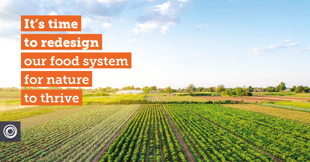 The big food redesign, making nature-positive food the norm | Ellen ...