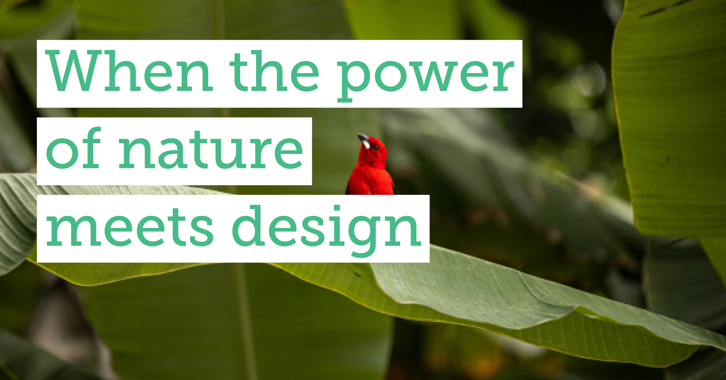 Using Circular Economy Principles with the Circular Design Guide ...