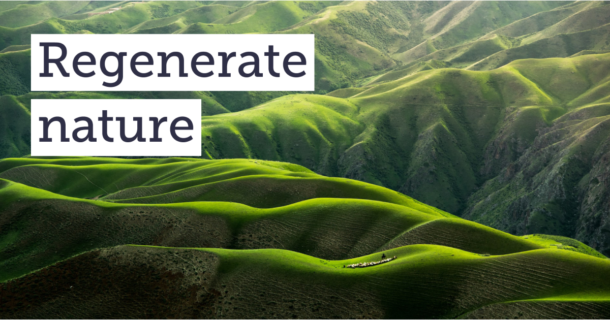 Regenerate Nature | Assisted Natural Regeneration | Ellen MacArthur ...