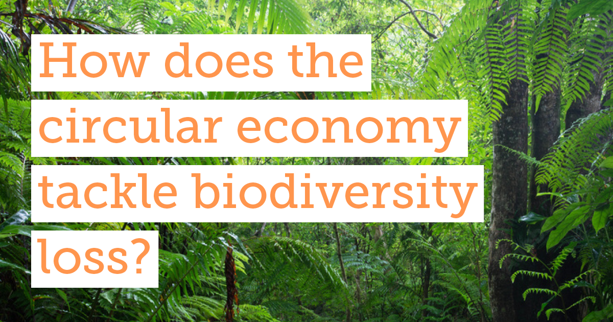 The Nature Imperative: How the circular economy tackles biodiversity ...