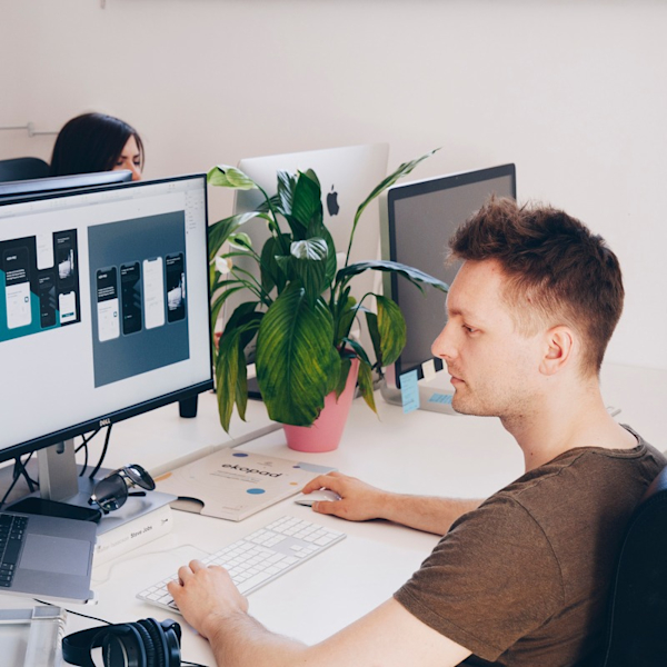 How to Create a Peaceful Office Environment | Mudita