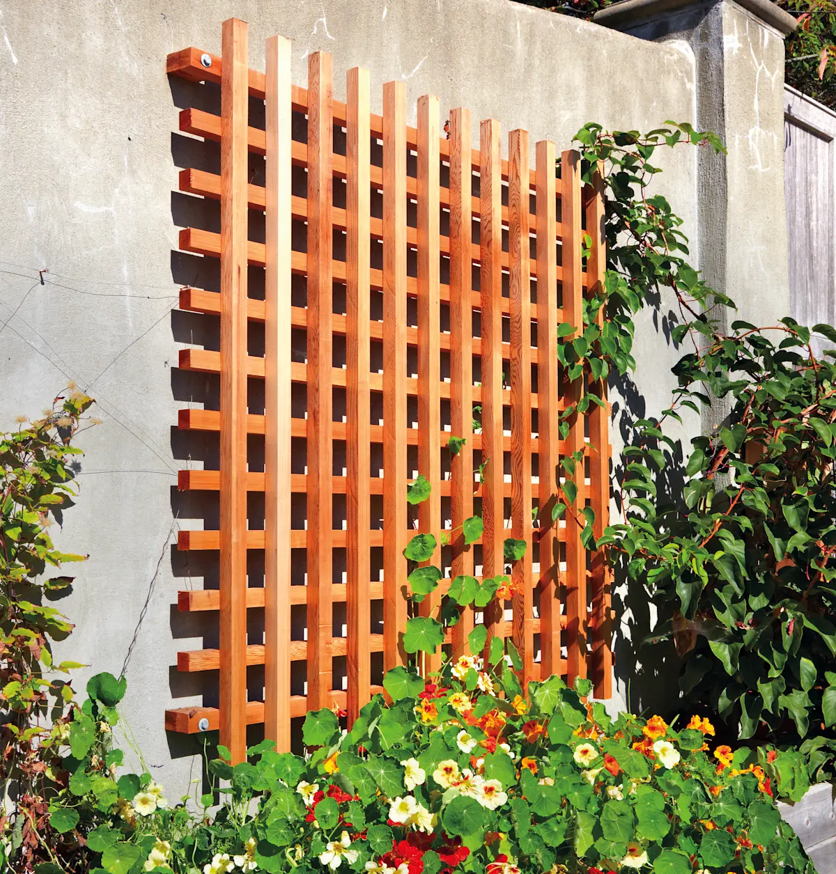 Luxury Backyard Inspiration - Ideas for Elevated Outdoor Living ...