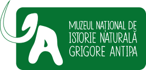 Grigore Antipa National Museum of Natural History | Digital Pasifik