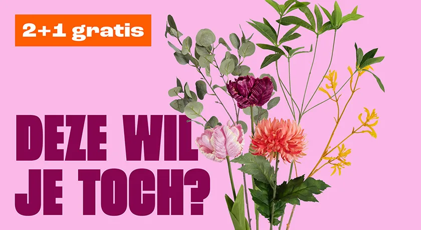 Ontdek hier al onze lopende acties! | Kwantum