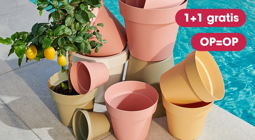 Ontdek hier al onze lopende acties! | Kwantum