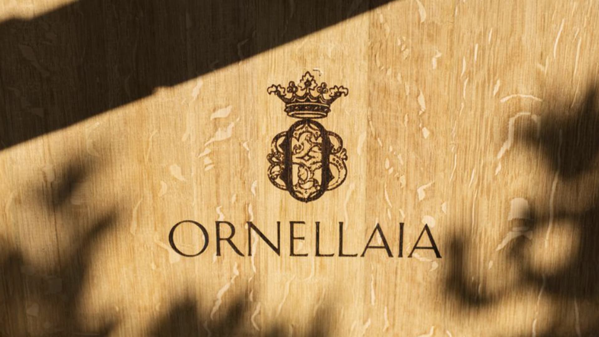 Ornellaia Logo Ornellaia Winery In Bolgheri, Italy The Chosen Table
