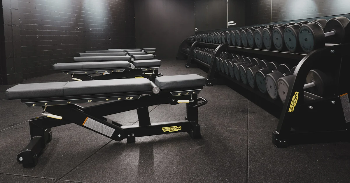 TrainMore | Ontdek onze labels