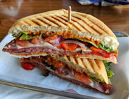 Hot Spicy Italian Panini Grilled Sandwich Proluxe Hot Spicy Italian Panini Grilled Sandwich Proluxe