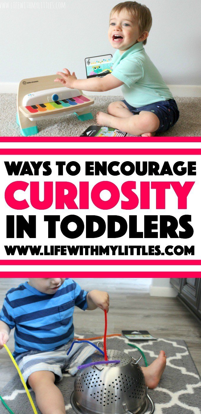 Ways to Encourage Curiosity in Toddlers | CafeMom.com