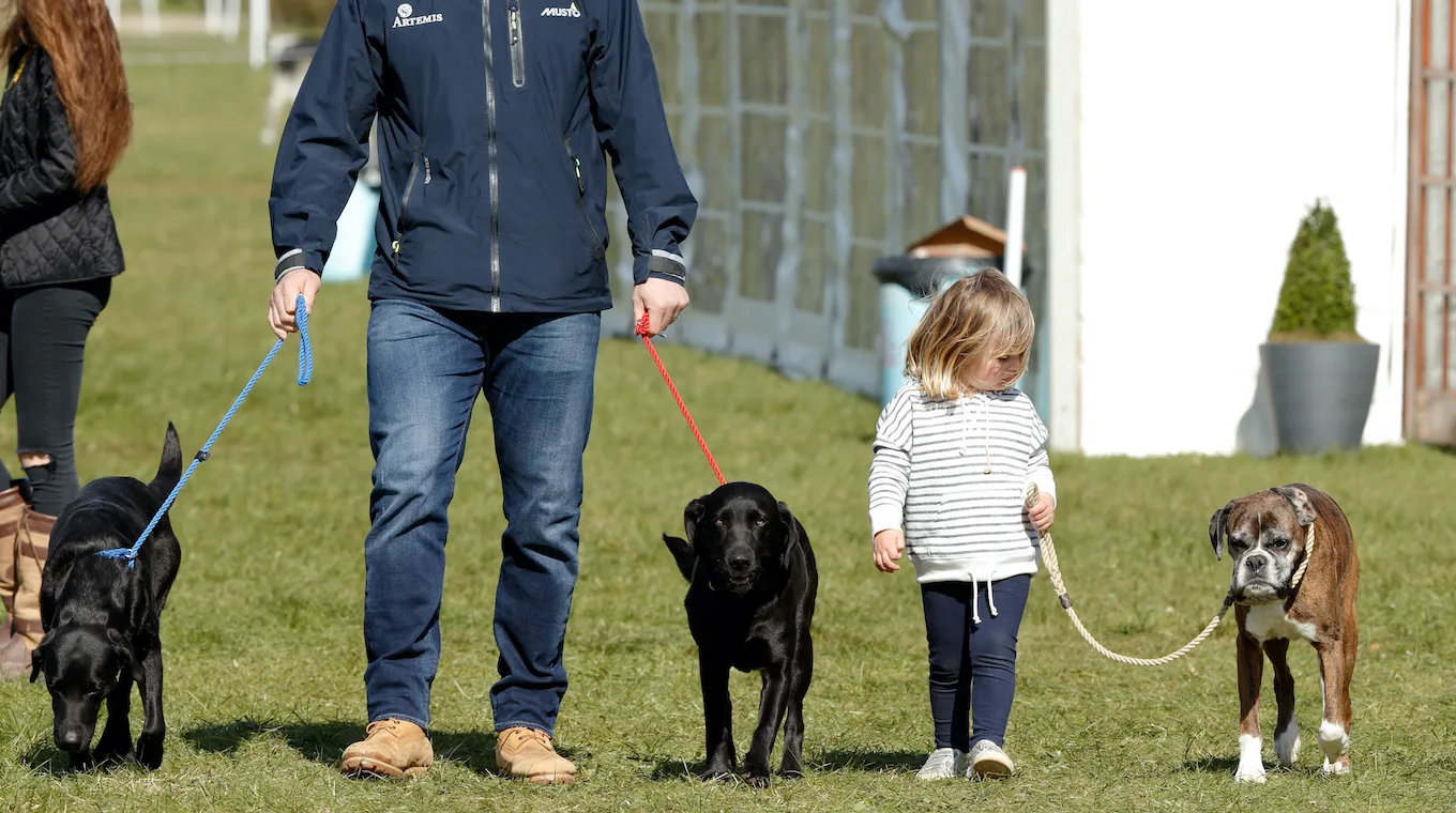 The Most Adorable Royal Pets, Ranked | CafeMom.com