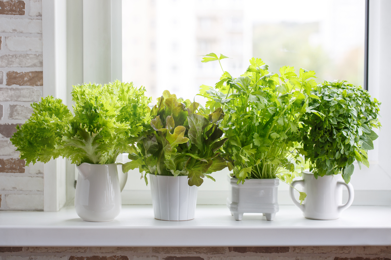 17 Genius, Little-Known Ways To Use Plants in Everyday Life | CafeMom.com