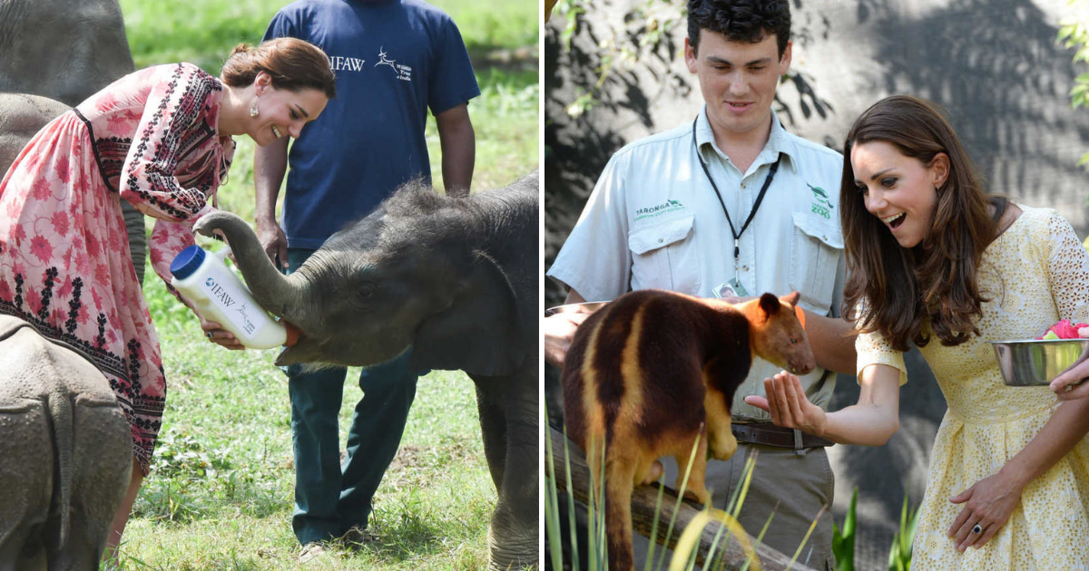 20 Times Kate Middleton Was Basically Dr. Dolittle | CafeMom.com