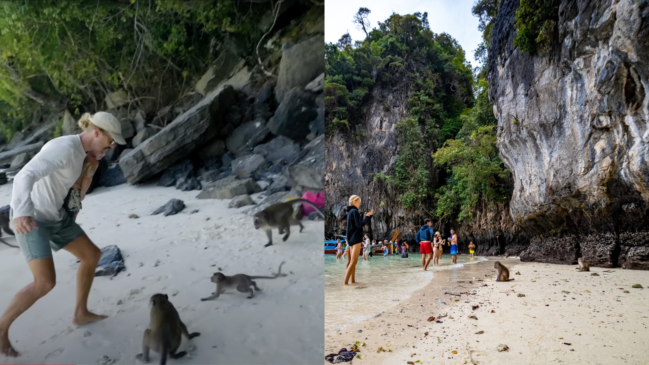 Dad Fights Off a Pack of Monkeys Trying To Attack His 1-Year-Old Son While on Vacation | CafeMom.com