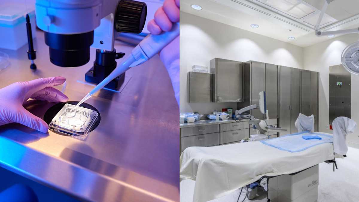 9 Couples Accused Fertility Clinic Of Implanting Dead And Toxic Embryos