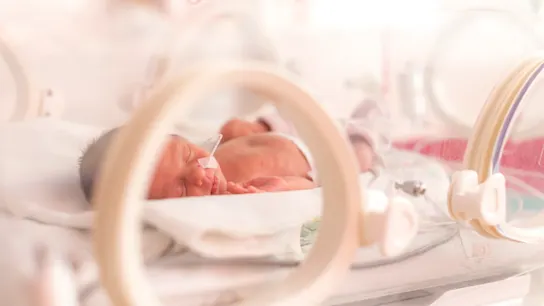 Couple Welcomes Premature Babies Just Months Apart But They're Not ...