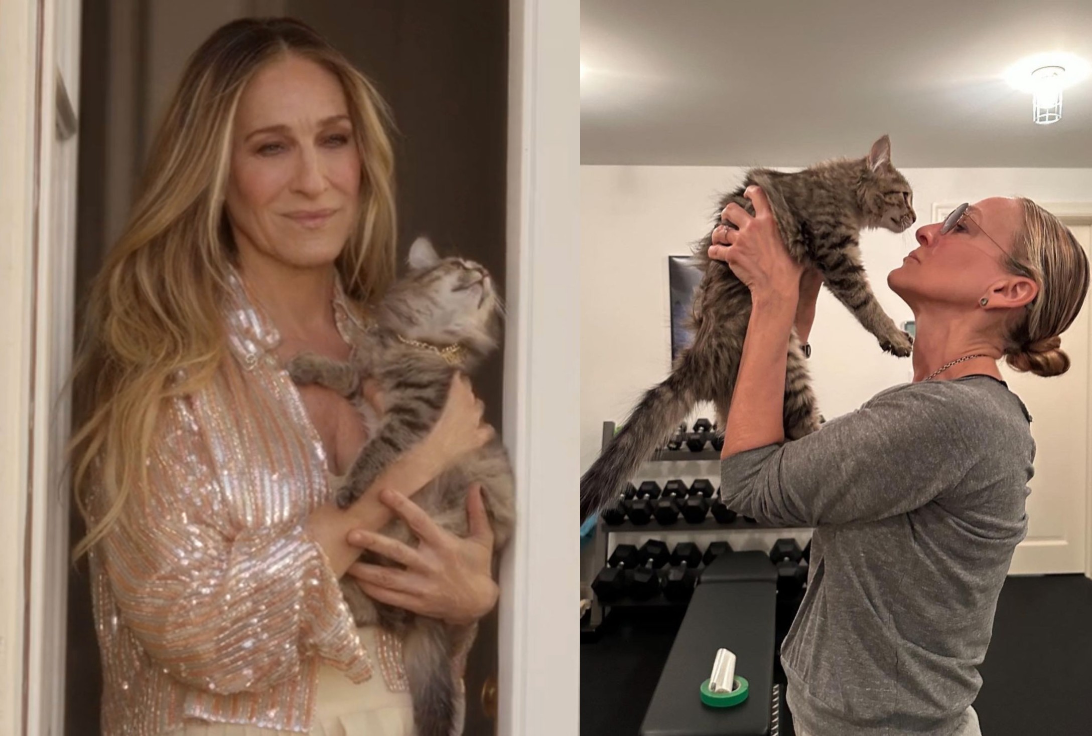 Sarah Jessica Parker Has Adopted Carrie Bradshaw's Cat From 'And Just ...