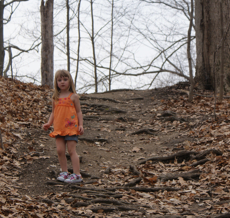 Kids Learning About Nature: Make a DIY Field Guide | CafeMom.com