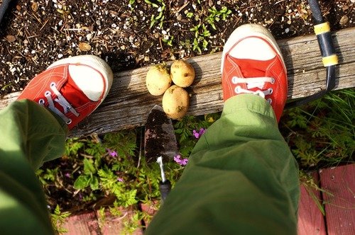 Shauna James Ahern of Gluten-Free Girl: Show & Tell Garden Tour ...