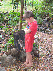 Teaching Kids to Deal With Teasing: Q&A With Dr. Mary | CafeMom.com