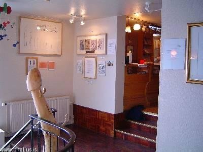Penis Museum Gets First Human Penis. What Took So Long? | CafeMom.com