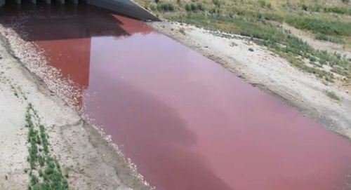 Lake Turns Red