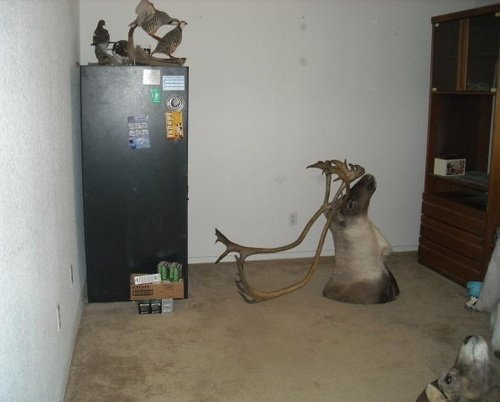 These Truly Ugly Houses Make Yours Look Good (PHOTOS) | CafeMom.com