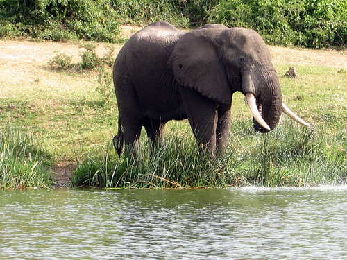 5 Funny Fake Recipes Will Keep You Hungry but Laughing | CafeMom.com