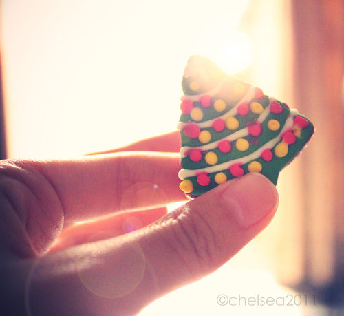 8 Colorful Christmas Cookie Recipes You Gotta Try | CafeMom.com