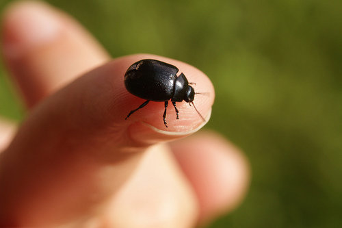 Ew I Swallowed a Bug! Now What? | CafeMom.com