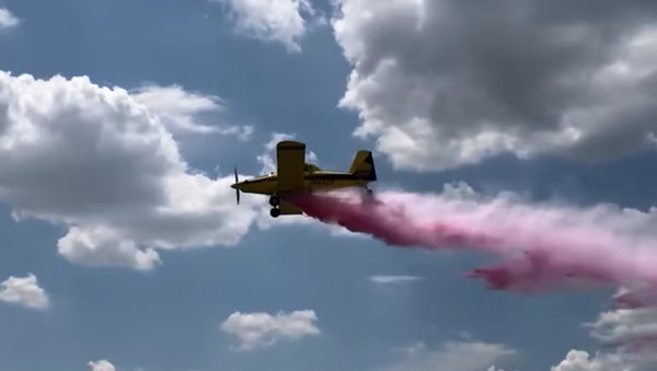 Couples Over-The-Top Airplane Gender Reveal is Too Cute | CafeMom.com