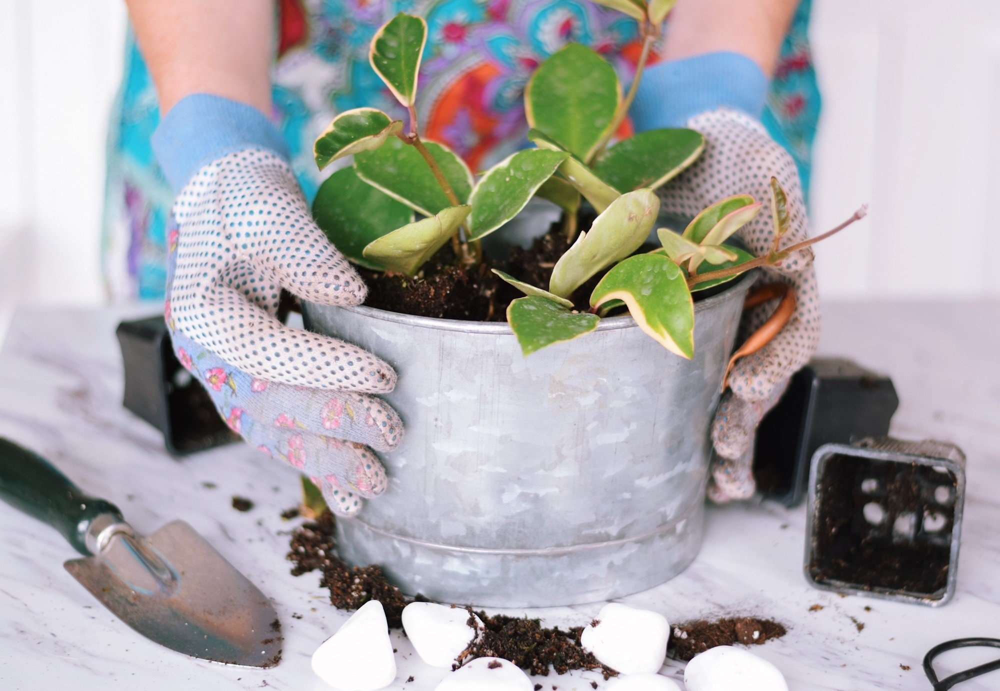 Gardening Hacks to Make the Most of Spring | CafeMom.com