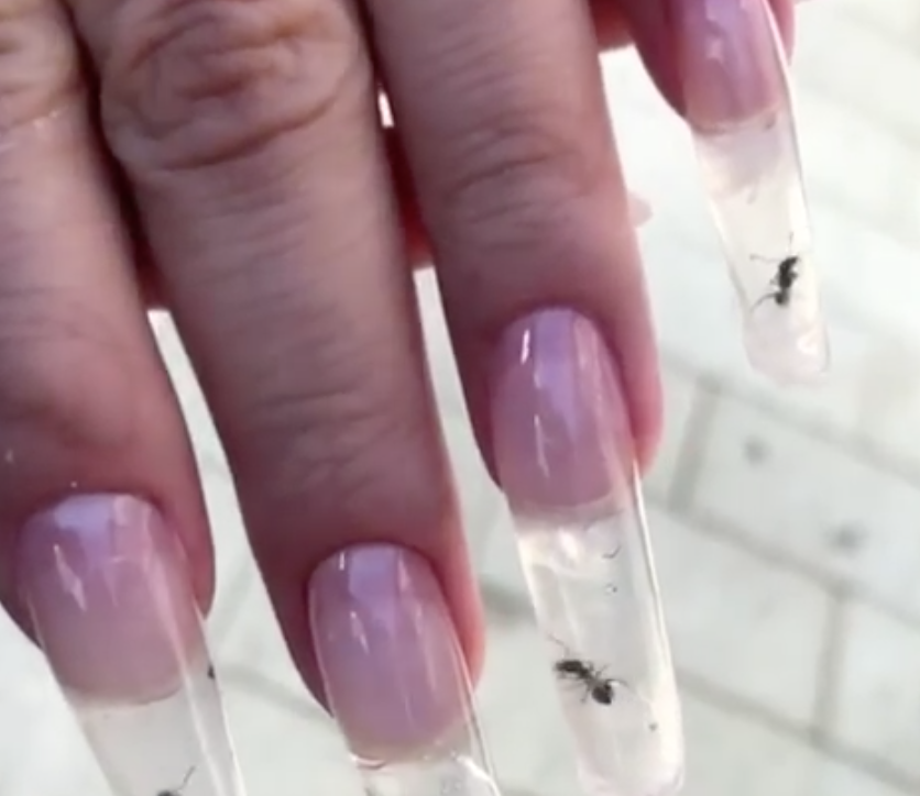 Live Ant Manicures Are The Newest Nail Art Trend | CafeMom.com