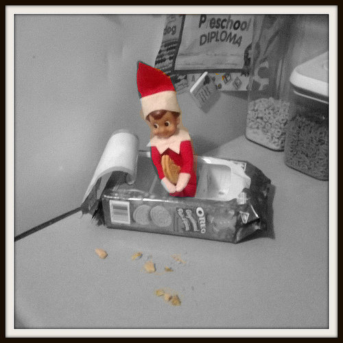 22 Last-Minute Elf on the Shelf® Poses for Forgetful Moms | CafeMom.com