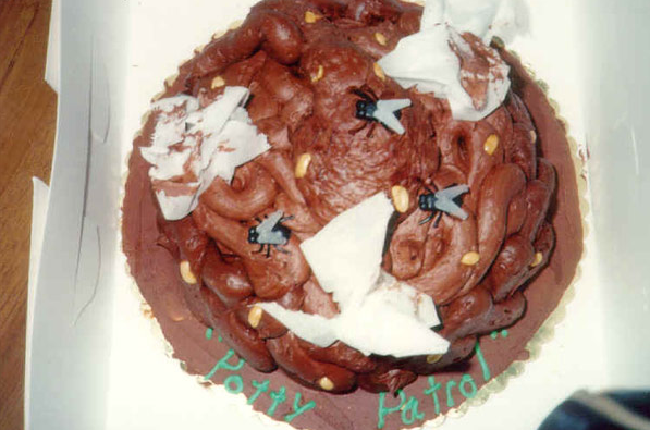 10 Celebratory 'Potty Training' Cakes We Can't Believe Anyone Ate ...