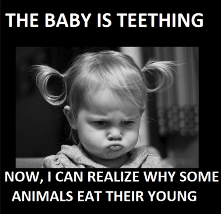 13 Memes That Hilariously Sum Up Life With a Teething Baby | CafeMom.com