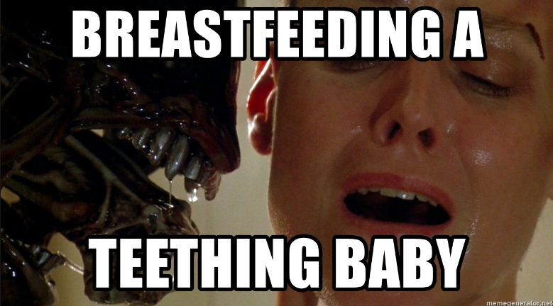 13 Memes That Hilariously Sum Up Life With a Teething Baby | CafeMom.com