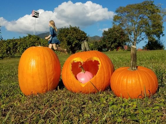 40 Perfect Pumpkin Pregnancy Announcements | CafeMom.com