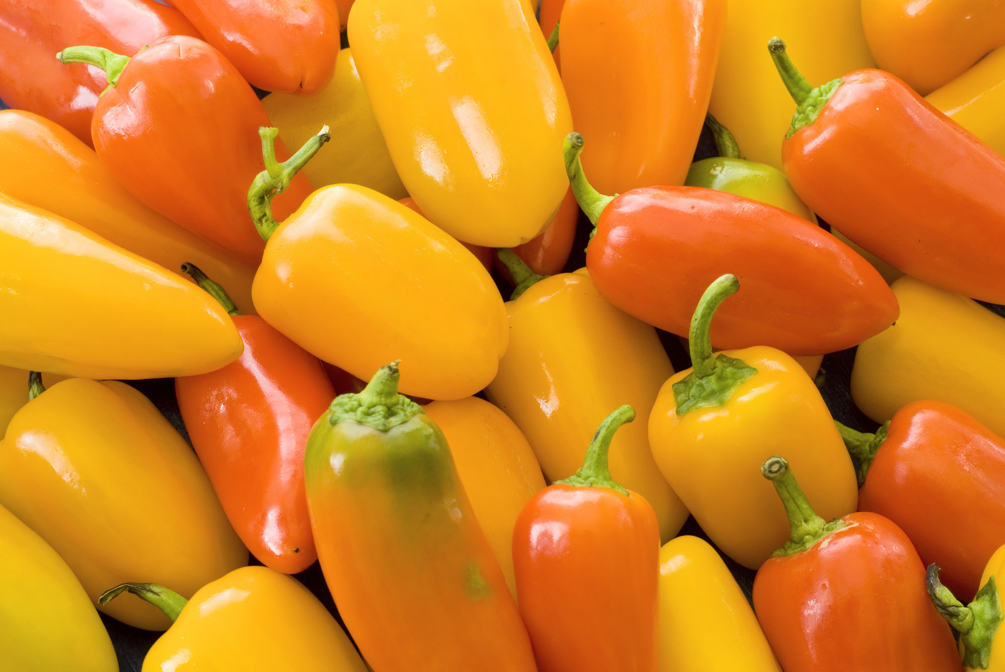 30 Vegetables That Can Be Grown Indoors | CafeMom.com