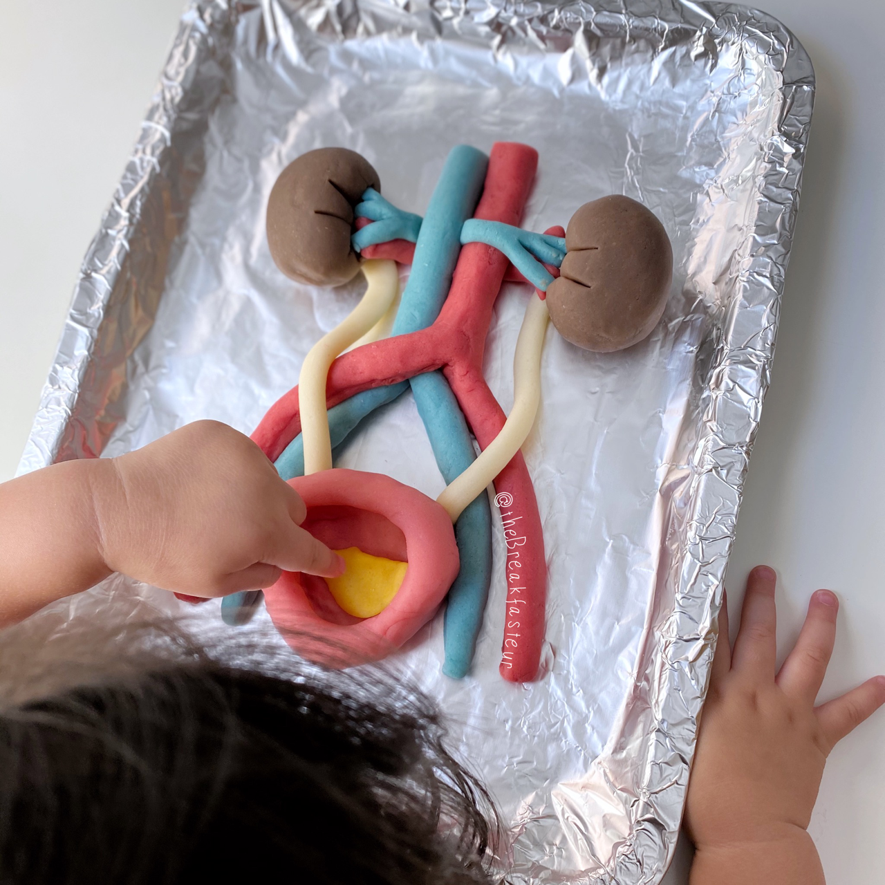 Mom Performs Play-Doh 'Surgery' to Teach Human Biology | CafeMom.com