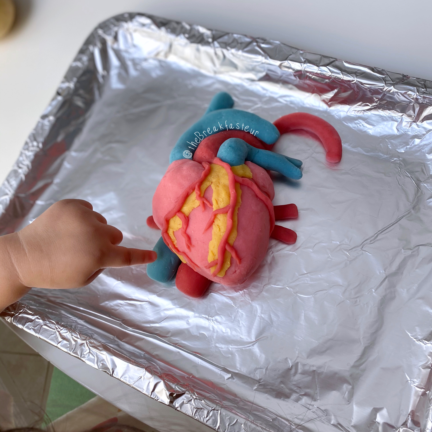 Mom Performs Play-Doh 'Surgery' to Teach Human Biology | CafeMom.com