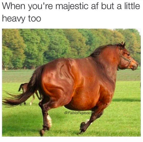 13 memes that will make chunky girls say 'accurate' | CafeMom.com