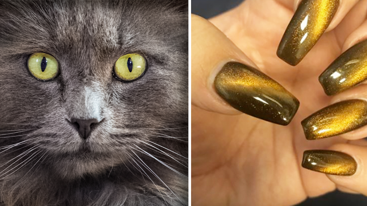 24 ways to do cat-eye nails | CafeMom.com