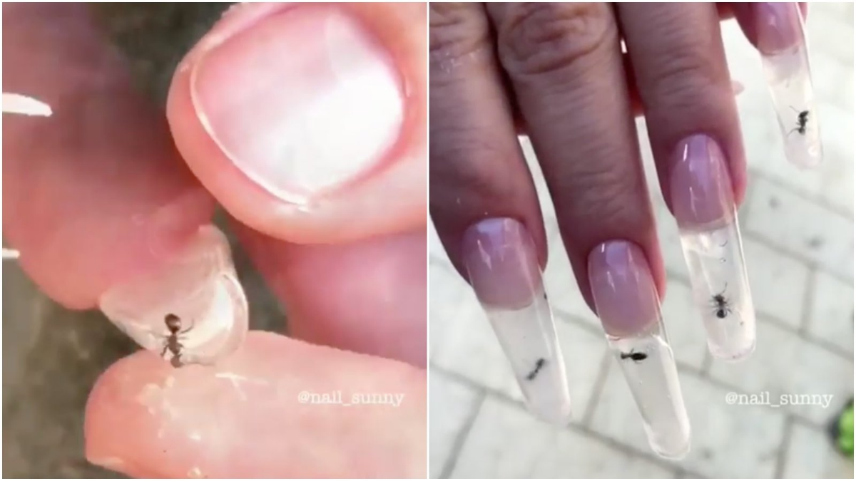 Live Ant Manicures Are The Newest Nail Art Trend | CafeMom.com