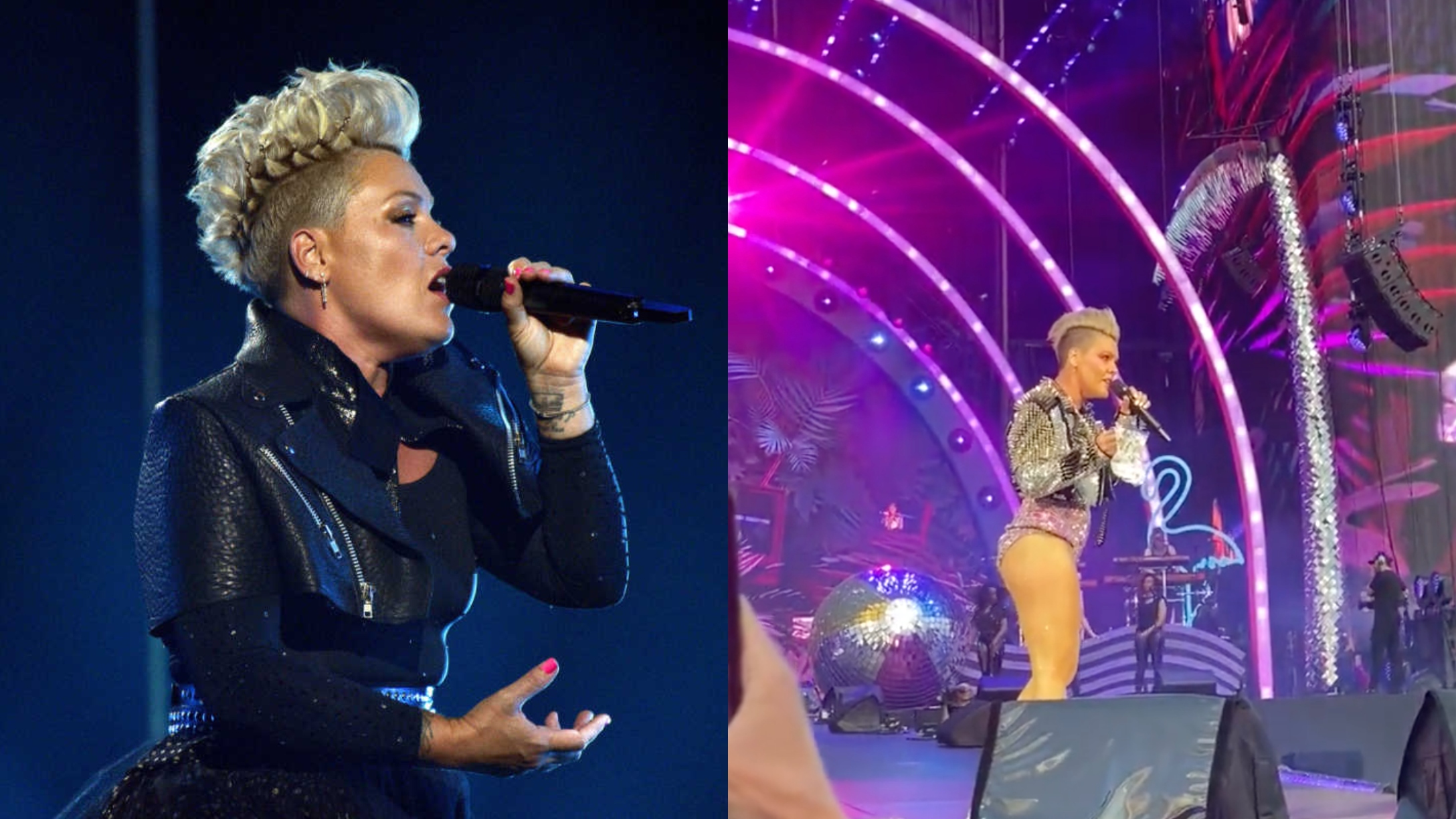 Pink 'Mortified' After a Fan Throws Their Mother's Ashes on Stage ...