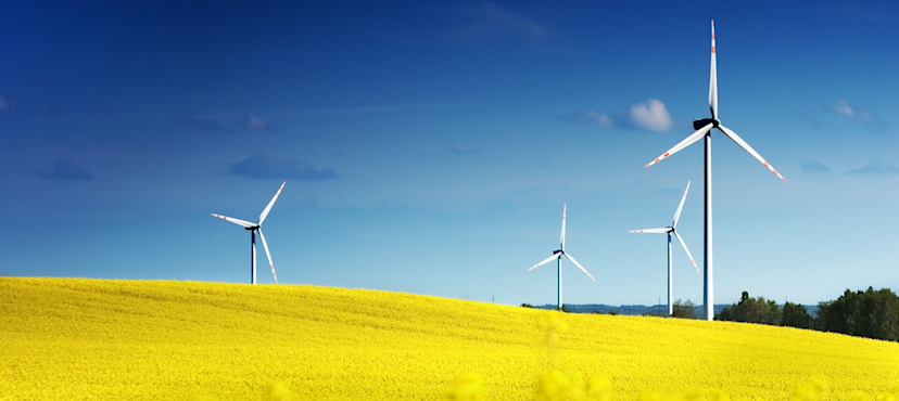 Renewable Energy Solutions for Businesses | Shell Energy UK | Shell ...
