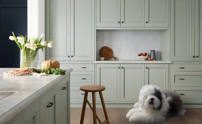 How to choose a sheen level or paint finish | Dulux